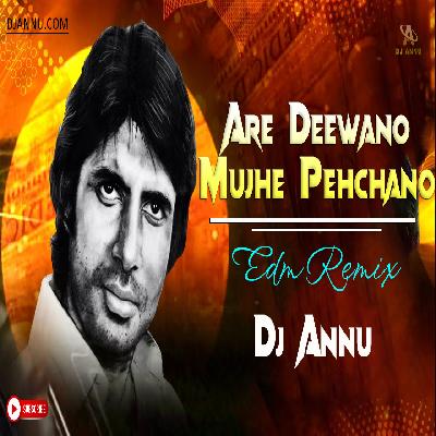 Are Deewano Mujhe Pehchano - Retro Edm Remix DJ Annu