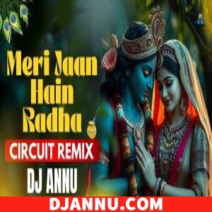 Are Re Meri Jaan Radha - Circuit Remix DJ Annu